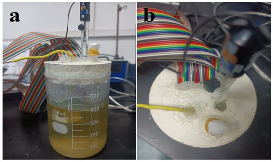 Investigating Different Local Polyurethane Coatings Degradation Effects ...