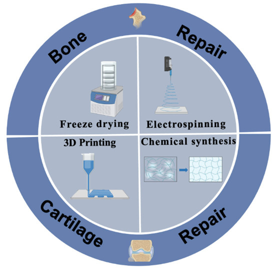 Biological Scaffolds Assembled with Magnetic Nanoparticles for Bone ...