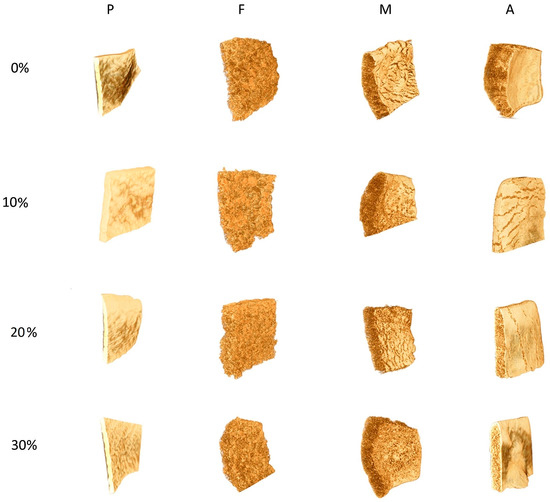 Structure and Texture Characteristics of Novel Snacks Expanded by ...