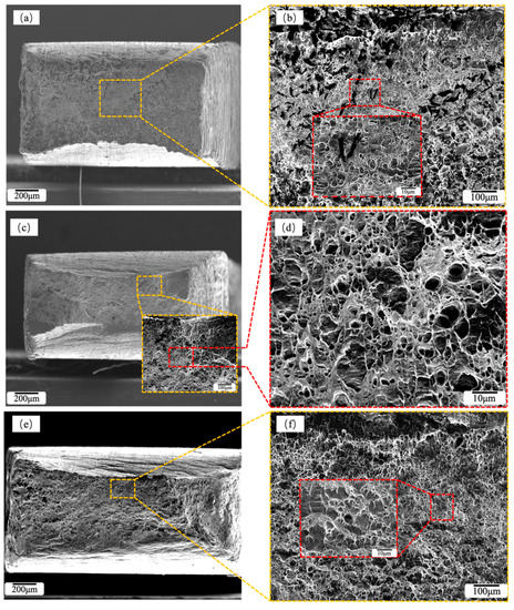 Effect of Rolling Process and Aging on the Microstructure and ...