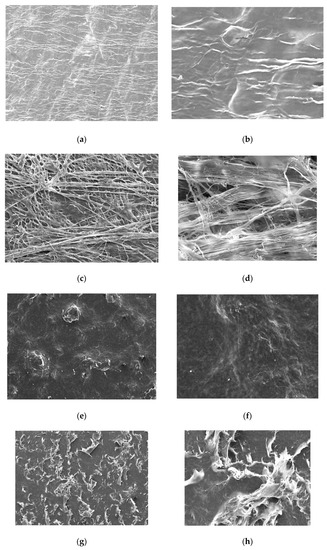 Occlusive and Proliferative Properties of Different Collagen Membranes ...