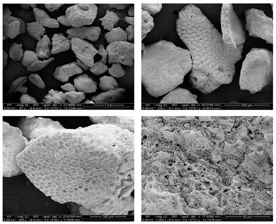 Experiment Study on the Influence of Density and Confining Pressure on ...