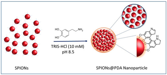 Synthesis and Characterization of SPIONs Encapsulating Polydopamine ...