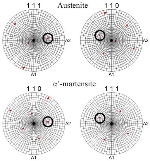 Gradient Microstructure and Texture Formation in a Metastable ...