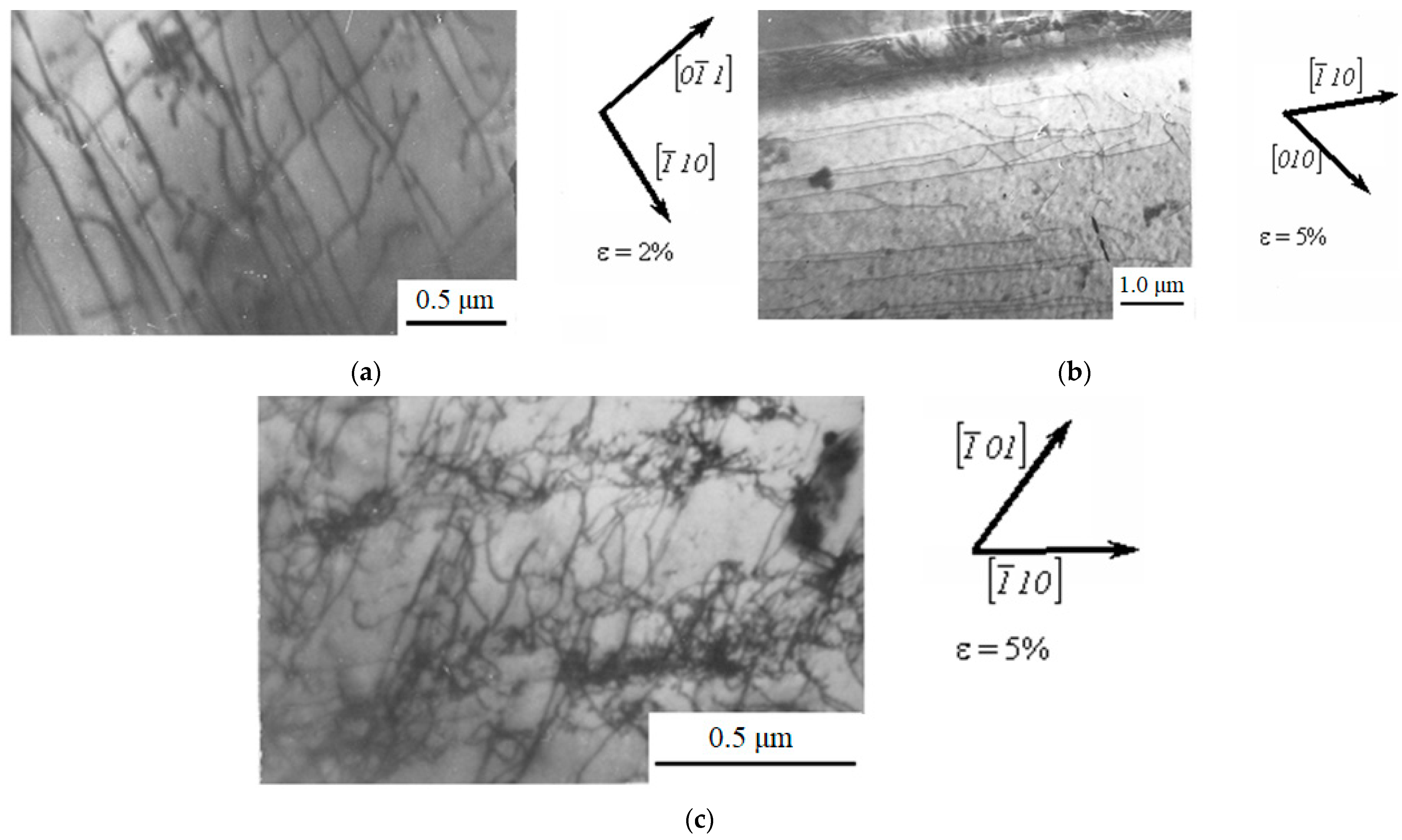 Effect of the Dislocation Substructure Parameters of Hadfield Steel on ...