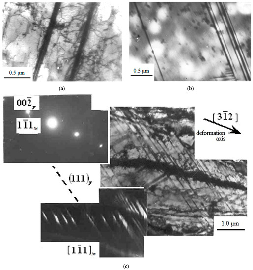 Effect of the Dislocation Substructure Parameters of Hadfield Steel on ...