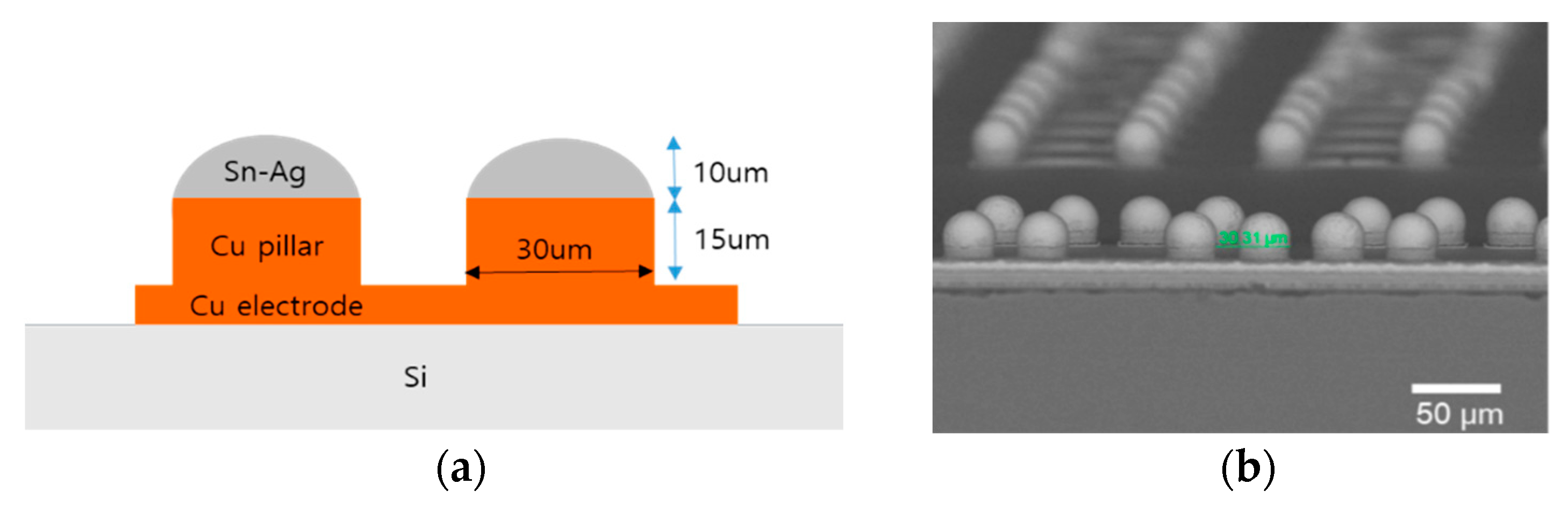 Thermo-Compression Bonding of Cu/SnAg Pillar Bumps with Electroless Palladium Immersion Gold ...