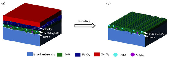 Study on the Removal of Oxide Scale Formed on 300 M Steel Special ...