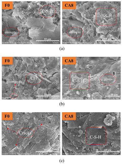 Exploration Of The Compressive Strength And Microscopic Properties Of Portland Cement Taking