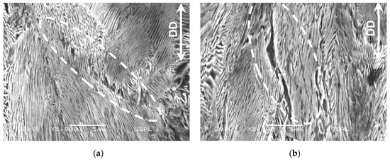 Intercolonial Microdamage and Cracking Micromechanisms during Wire ...