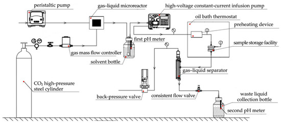Experimental Study on the Dissolution Characteristics and ...