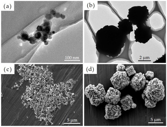 Allergenicity and Bioavailability of Nickel Nanoparticles Compared to ...