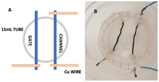 Long-Term Stability in Electronic Properties of Textile Organic ...