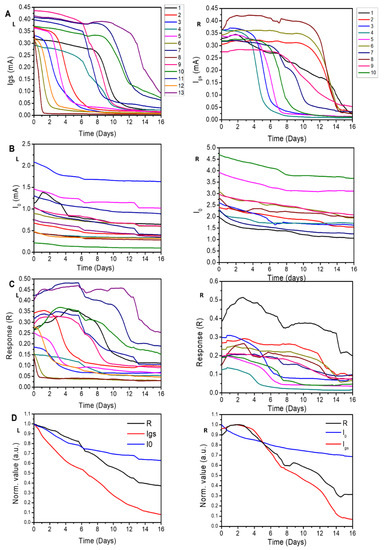 Long-Term Stability in Electronic Properties of Textile Organic ...