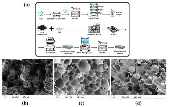 Morphological, Mechanical and Thermal Properties of Rubber Foams: A ...