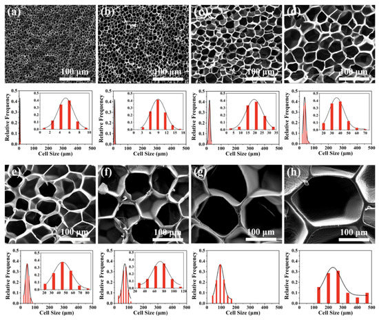 Morphological, Mechanical and Thermal Properties of Rubber Foams: A ...