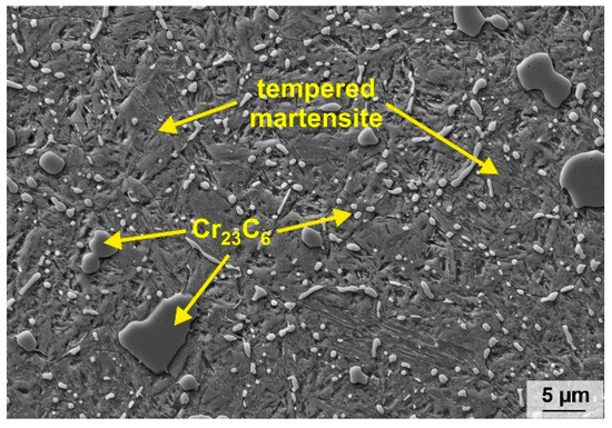 Materials | Free Full-Text | A Newly Designed High-Strength Tool Steel ...