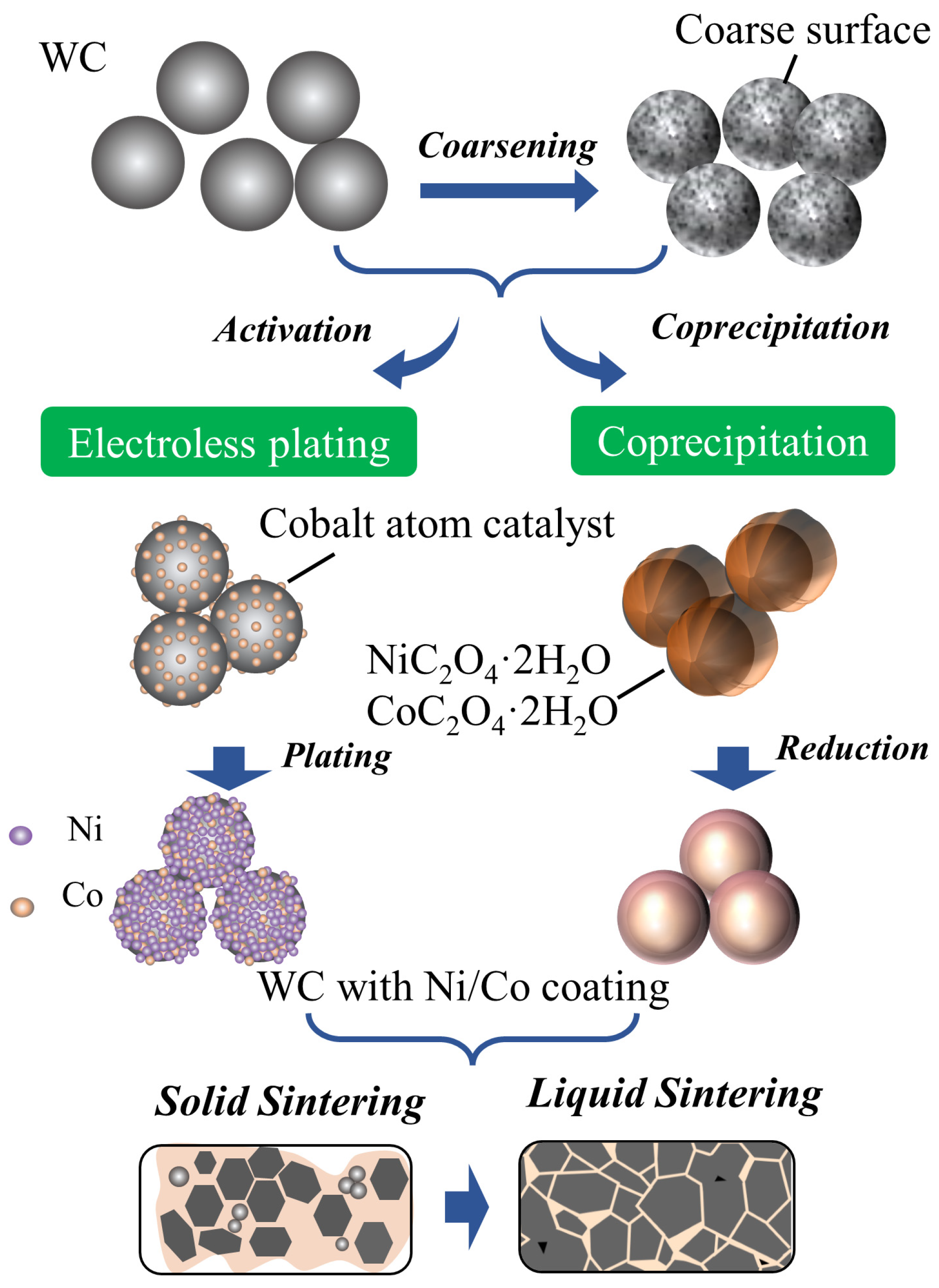Comparative Study on the Densification, Microstructure and Properties of WC-10(Ni, Ni/Co ...