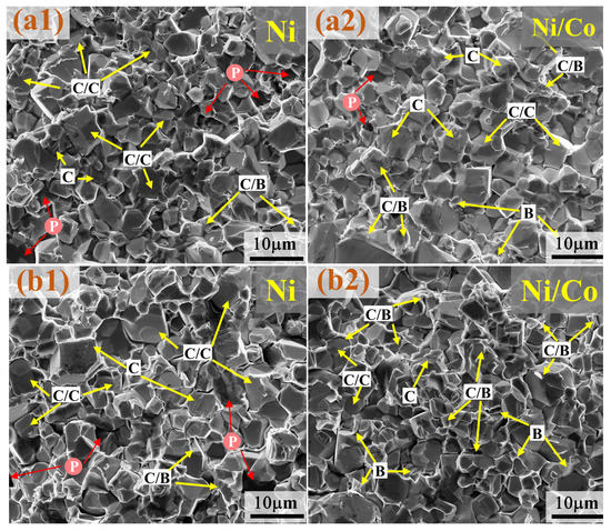 Comparative Study on the Densification, Microstructure and Properties ...