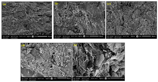 Investigation of Gamma-Ray Shielding Properties of Bismuth Oxide ...