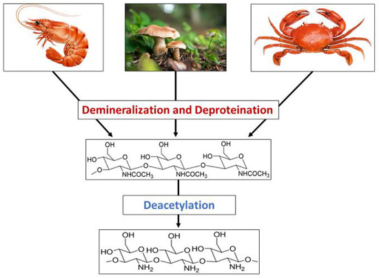 Recent Advances in Chitosan-Based Applications—A Review
