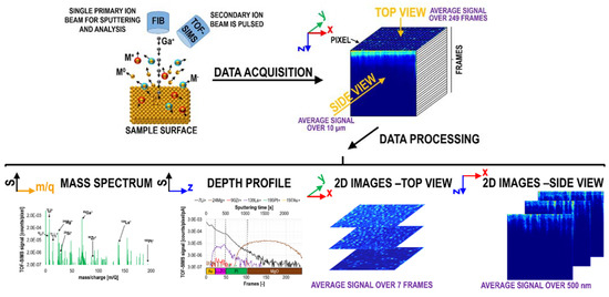Review of Recent Advances in Gas-Assisted Focused Ion Beam Time-of-Flight Secondary Ion Mass ...