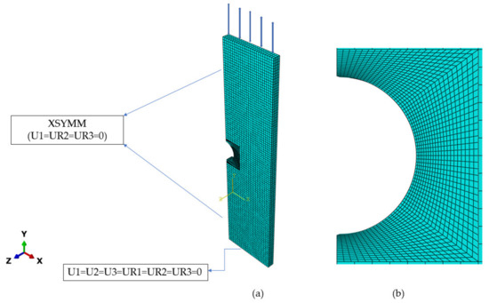 Materials | Free Full-Text | Accumulation of Plastic Strain at Notch ...