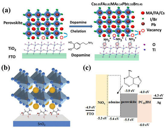 Application of Natural Molecules in Efficient and Stable Perovskite Solar Cells