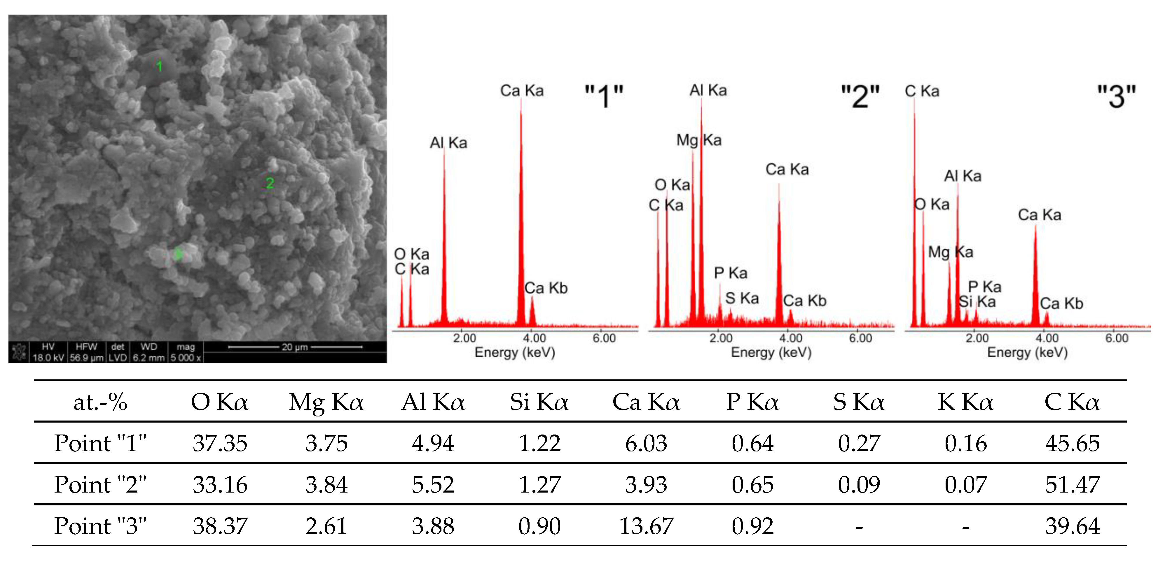 The Effect of Biological Corrosion on the Hydration Processes of ...