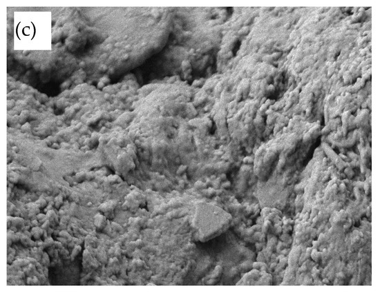 Materials | Free Full-Text | Sapropel as a Binding Material for Wood ...