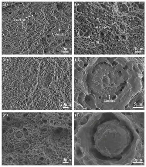 Effects of Heat Treatment on the Interface Microstructure and ...