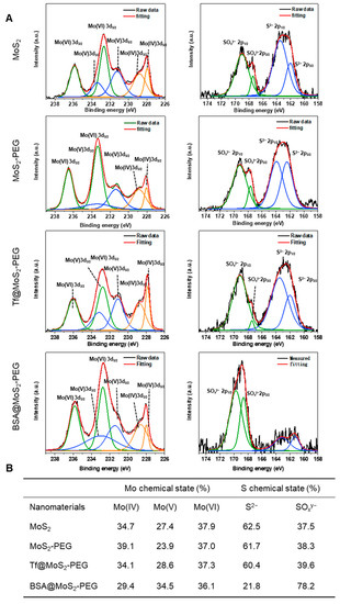 Bi-Functionalized Transferrin@MoS2-PEG Nanosheets for Improving Cellular Uptake in HepG2 Cells