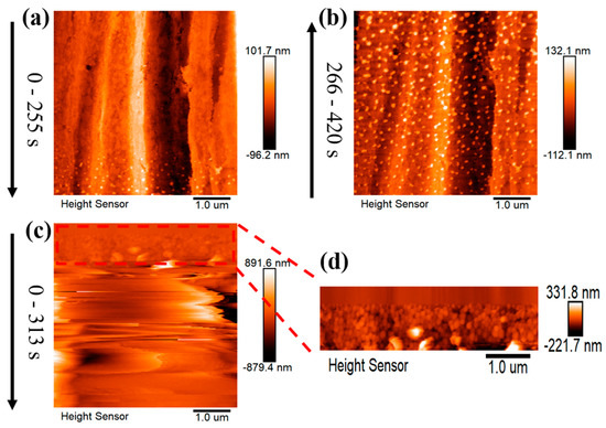 Electrochemical Atomic Force Microscopy Study on the Dynamic Evolution ...