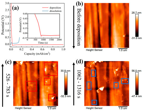 Electrochemical Atomic Force Microscopy Study on the Dynamic Evolution ...