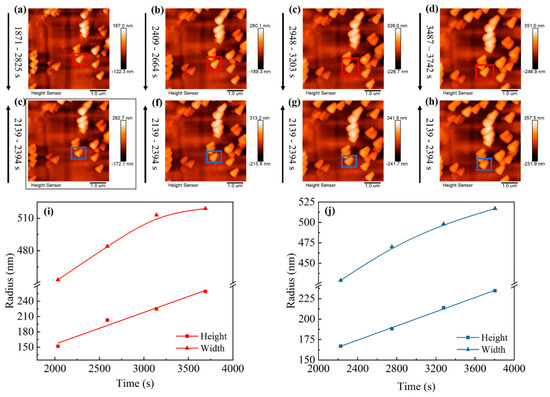 Electrochemical Atomic Force Microscopy Study on the Dynamic Evolution ...