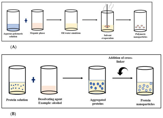 Biodegradable Biopolymeric Nanoparticles for Biomedical Applications ...
