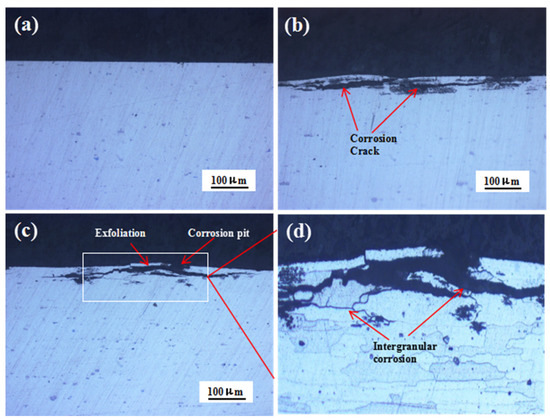 Impact of Marine Atmospheric Corrosion on the Microstructure and ...