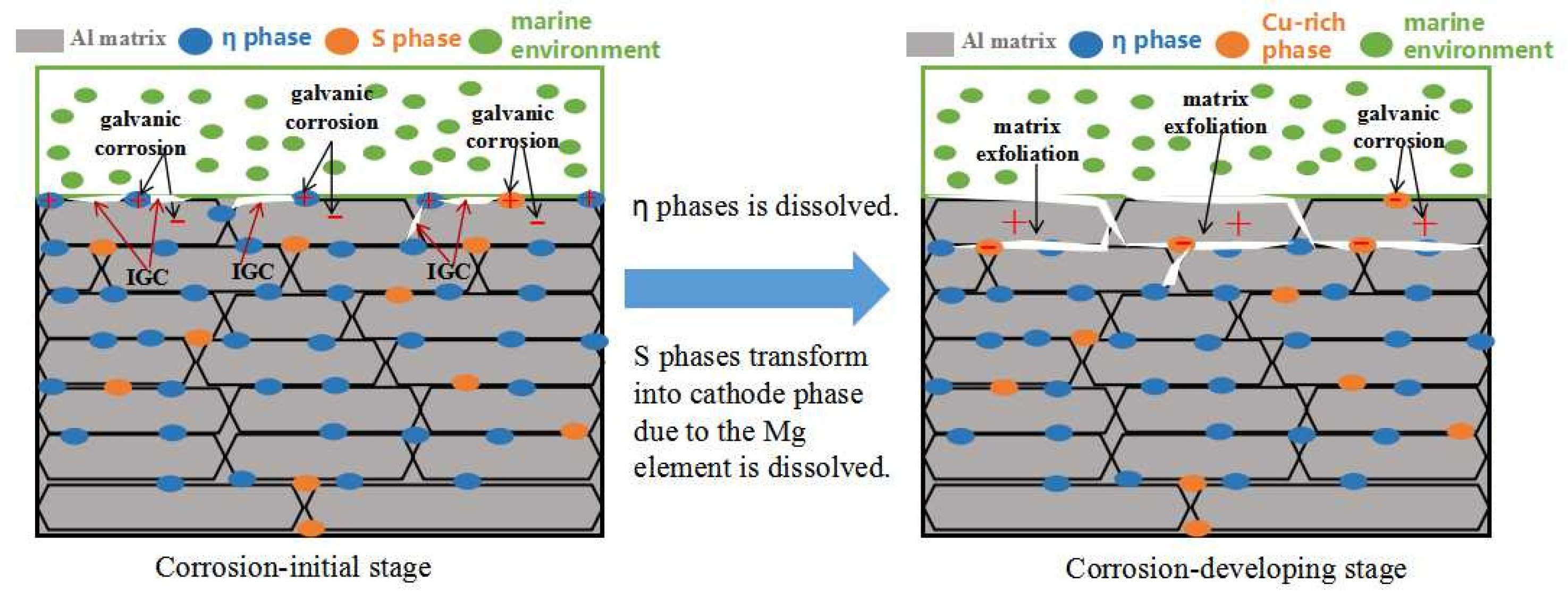 Impact of Marine Atmospheric Corrosion on the Microstructure and ...