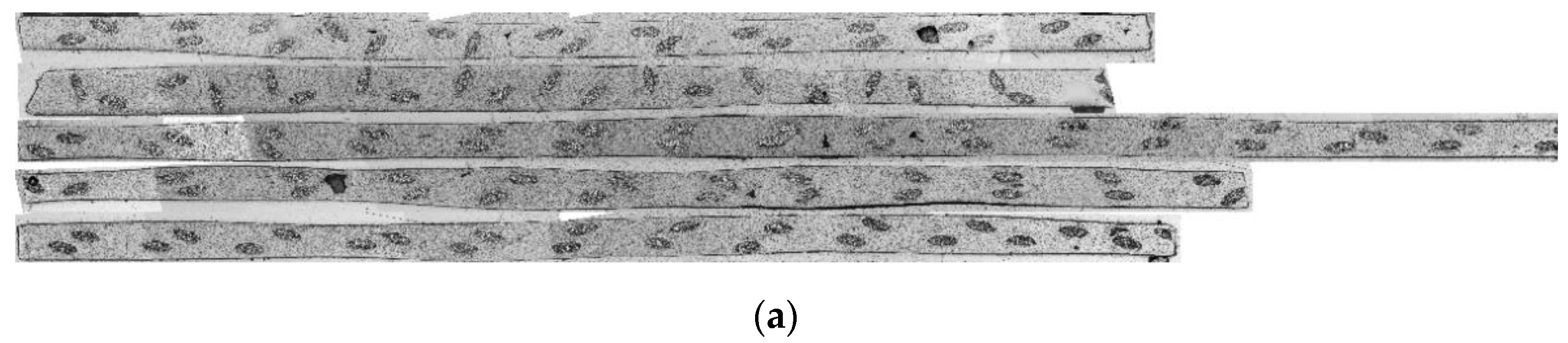An Easy Method to Determine the Effective Conductivity of Carbon Fiber ...