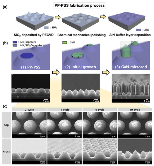 Selective-Area Growth Mechanism of GaN Microrods on a Plateau Patterned ...