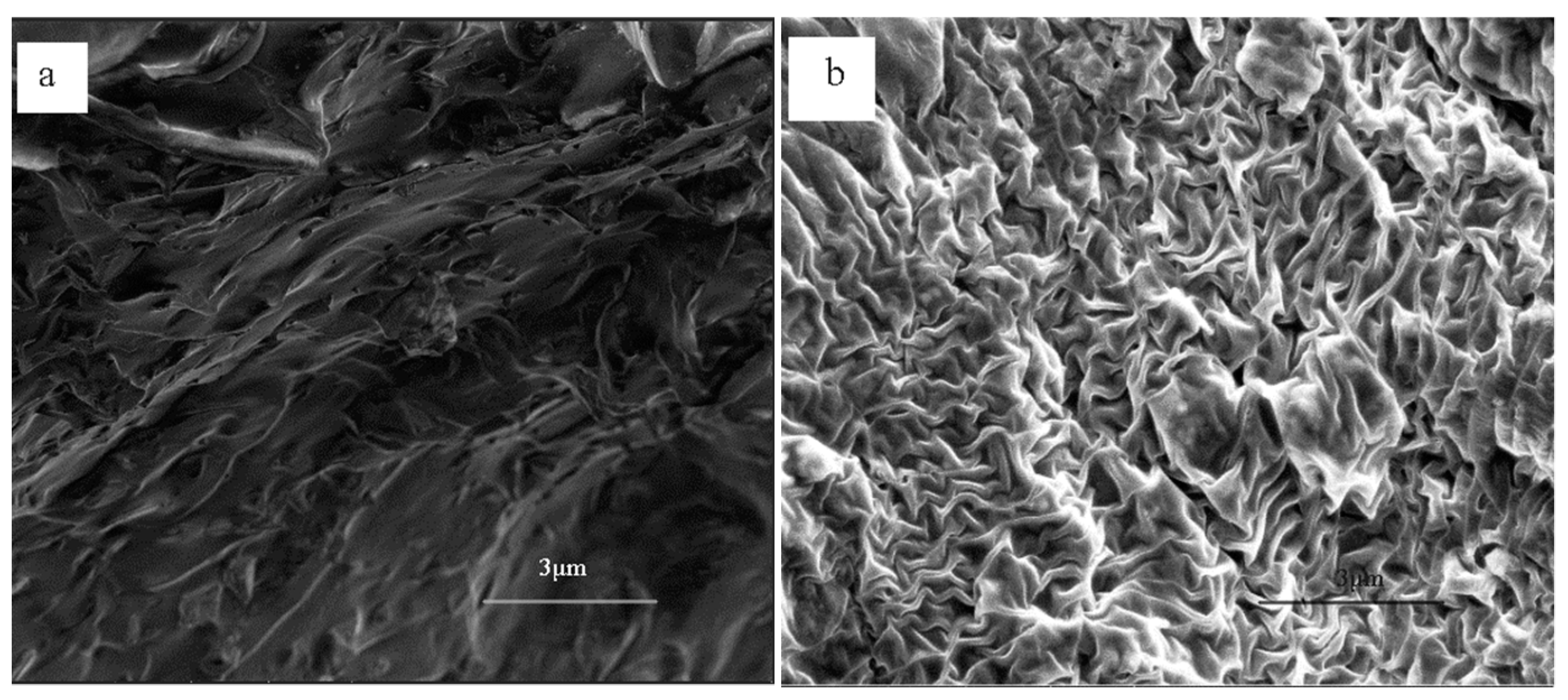 Preparation, Characterization, and Performance of a Modified ...