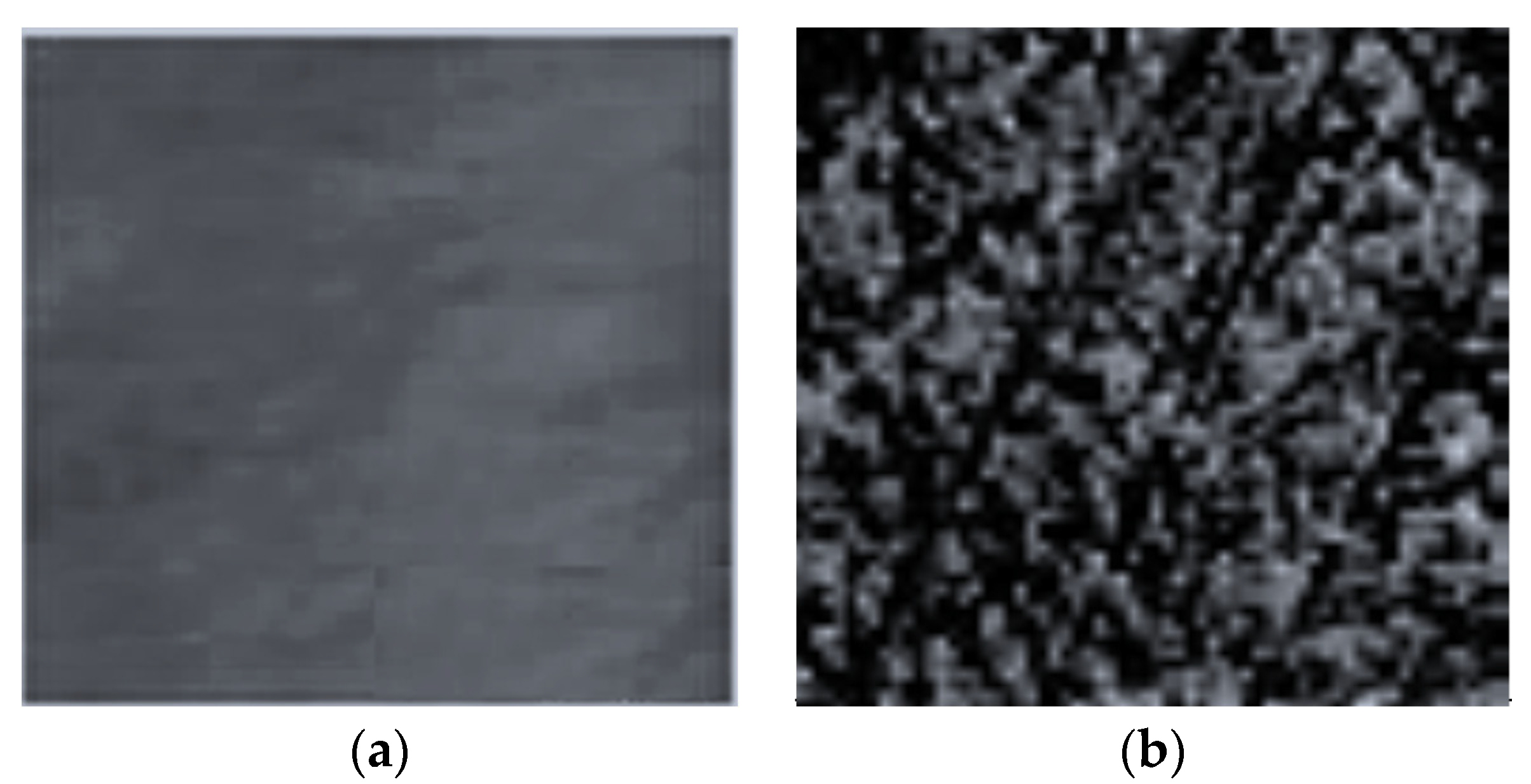 The Effects of Friction and Temperature in the Chemical–Mechanical Planarization Process