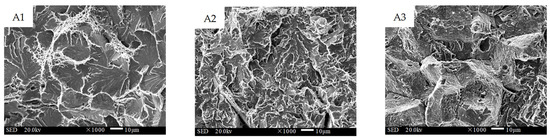 Materials | Free Full-Text | Microstructure and Mechanical Properties ...