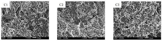 Materials | Free Full-Text | Microstructure and Mechanical Properties ...