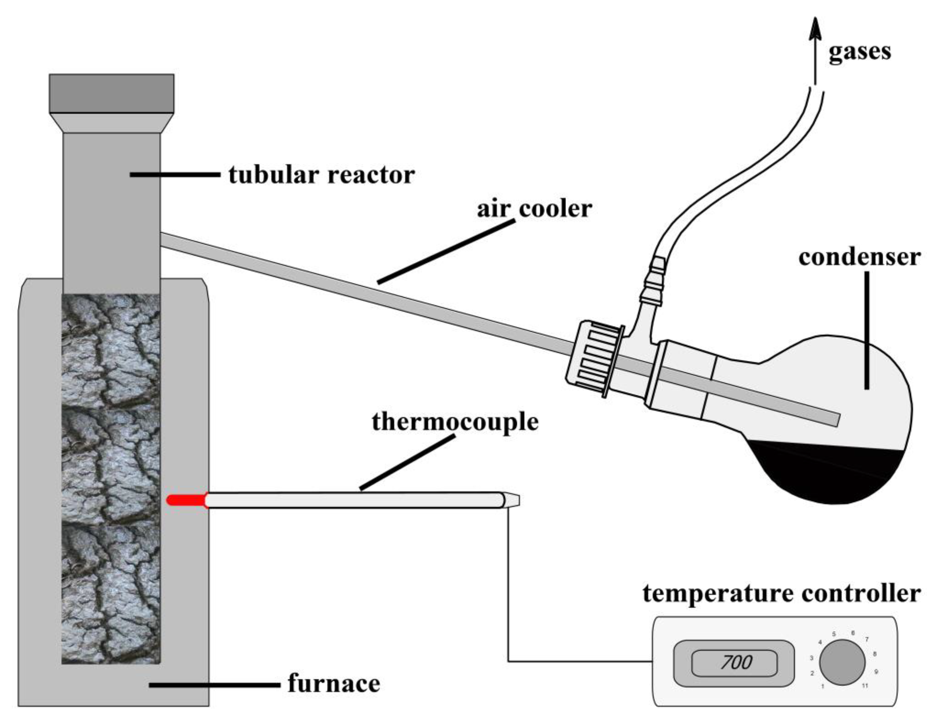 Municipal Sewage Sludge as a Source for Obtaining Efficient Biosorbents ...