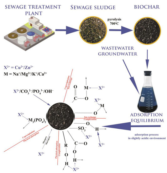 Municipal Sewage Sludge as a Source for Obtaining Efficient Biosorbents ...