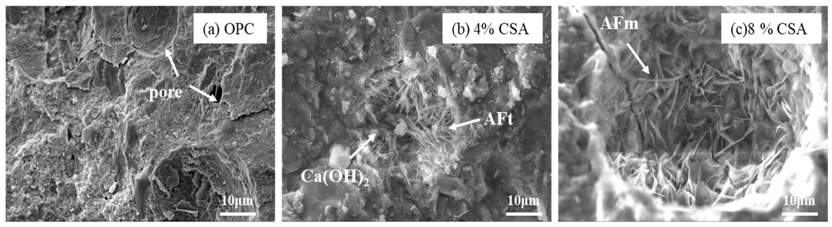 Volume Deformation and Hydration Behavior of Ordinary Portland Cement ...