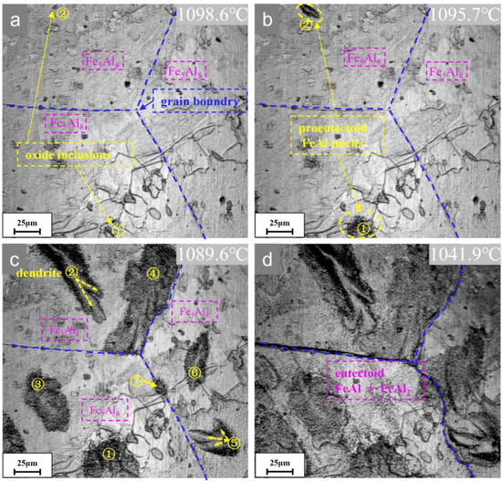 The Mechanism of Dendrite Formation in a Solid-State Transformation of ...