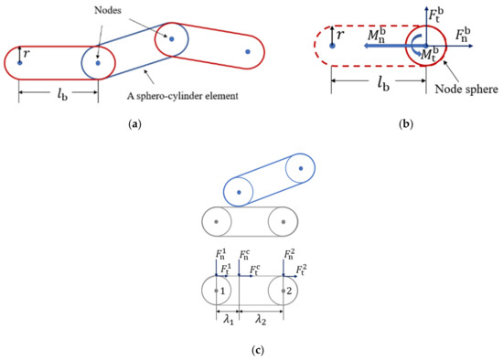 Effects of Fiber Shape on Mechanical Properties of Fiber Assemblies