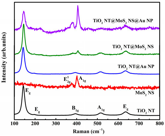 Multifunctional TiO2 Nanotube-Matrix Composites with Enhanced ...